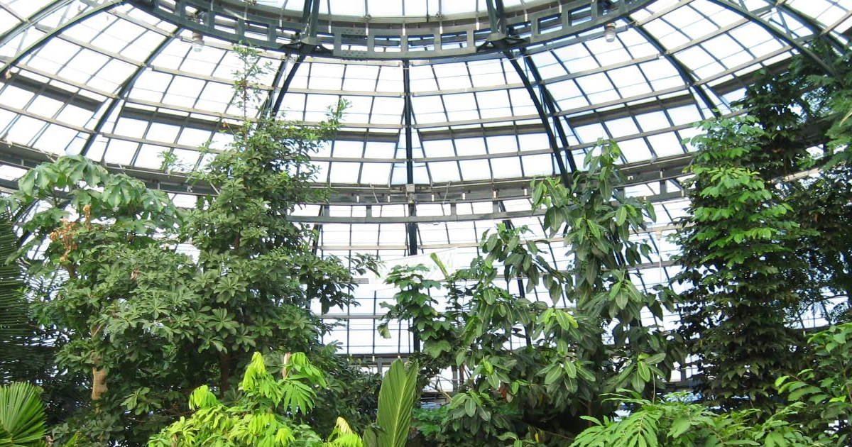 The Huntington Botanical Garden