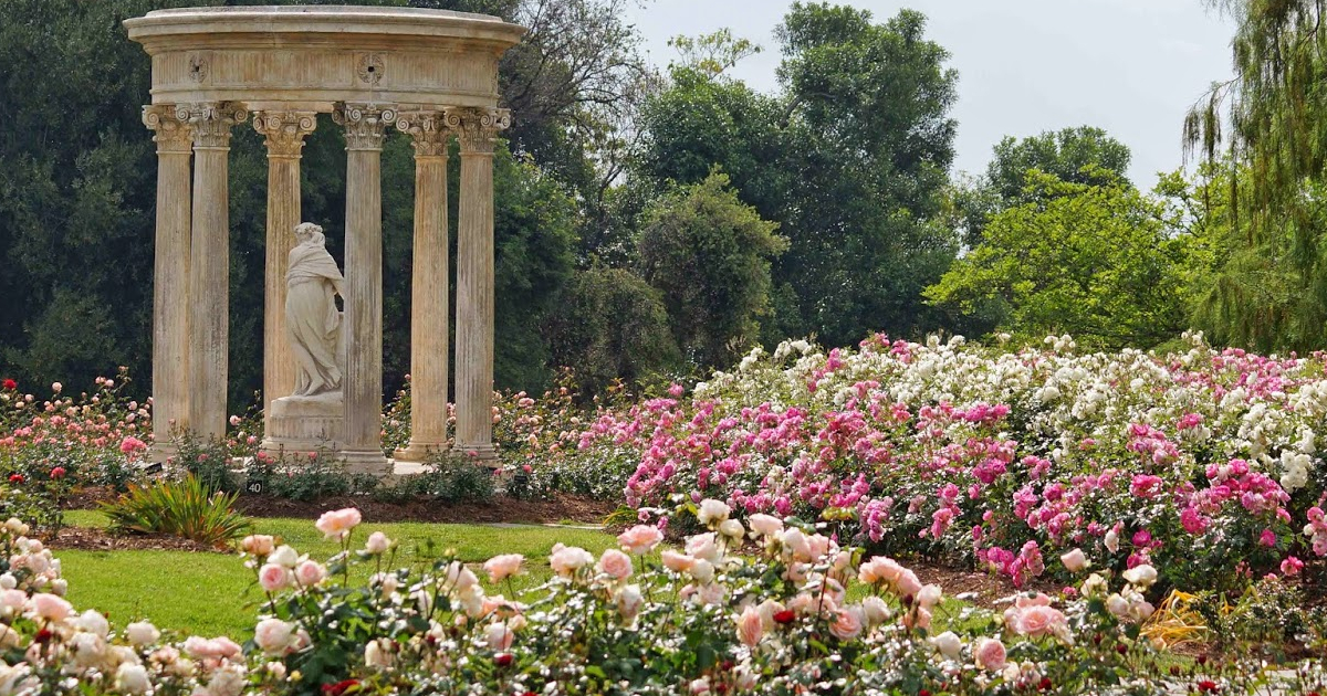 The Huntington Botanical Garden